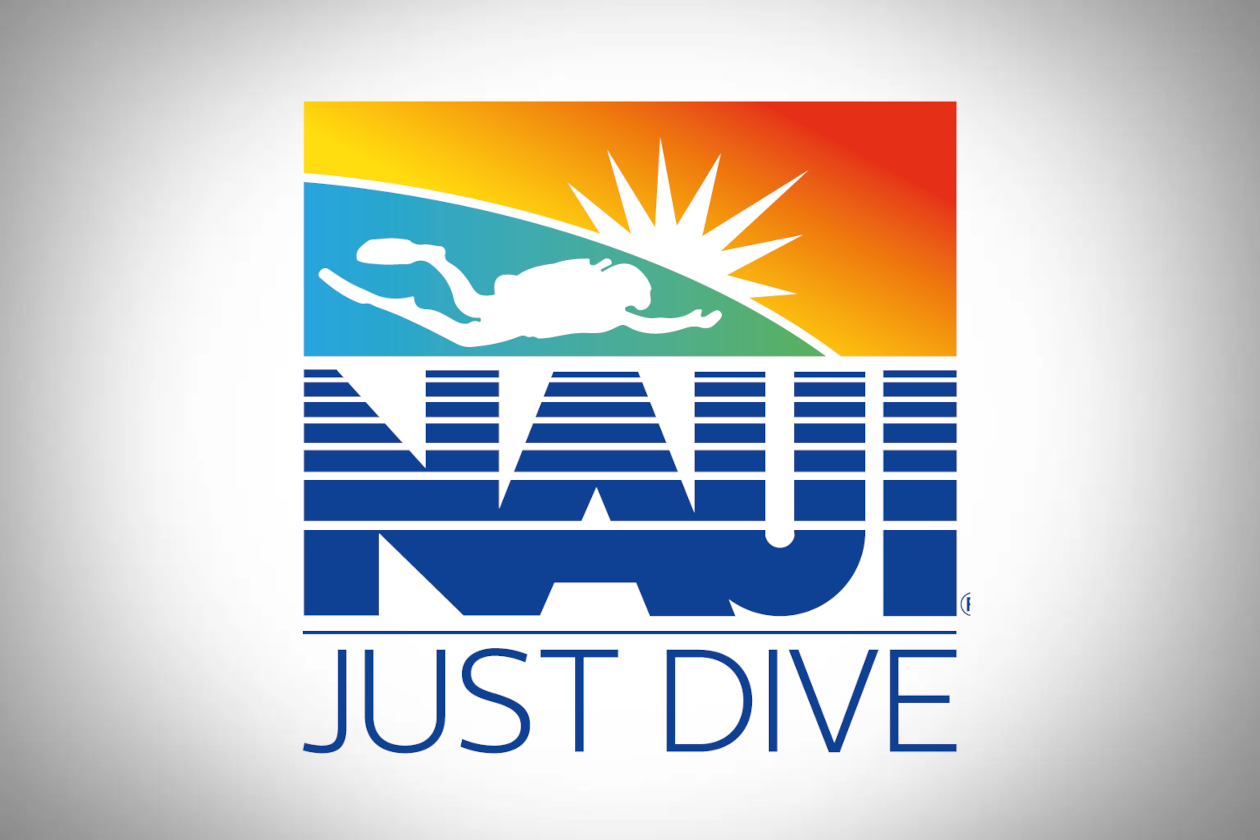 Top 7 diving organizations and certification programs