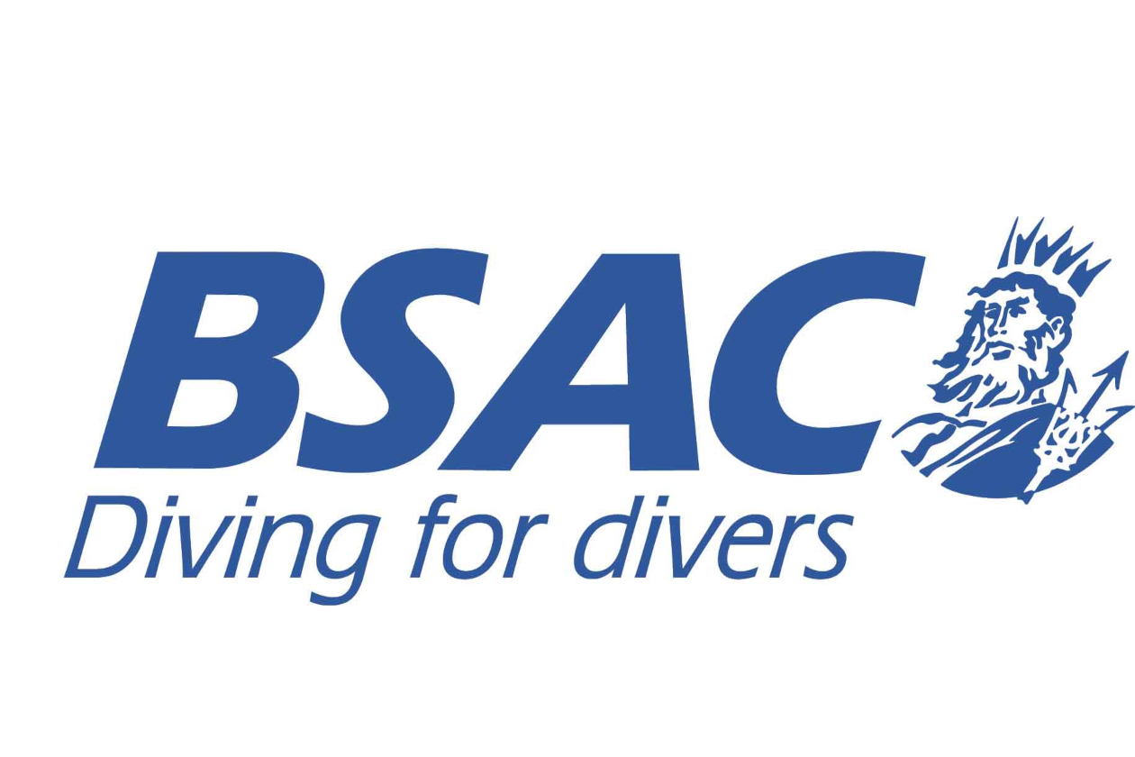 Top 7 diving organizations and certification programs