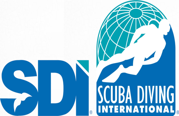 Top 8 diving organizations and certification programs
