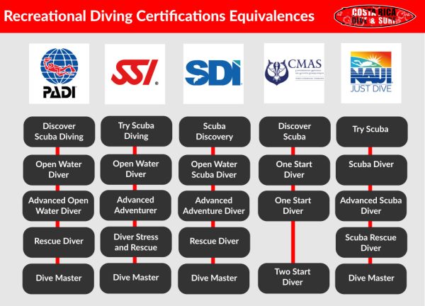 What is the best scuba diving certification ? Comparison chart