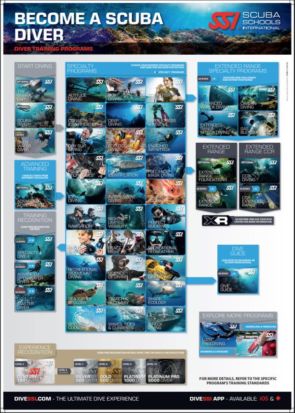 Top 8 diving organizations and certification programs