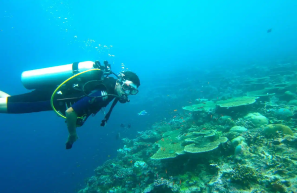 Top 10 diving records in the world