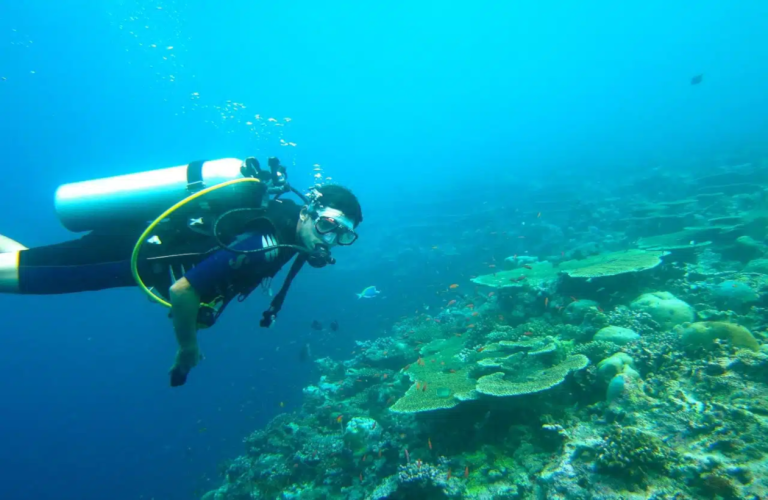 Top 10 diving records in the world