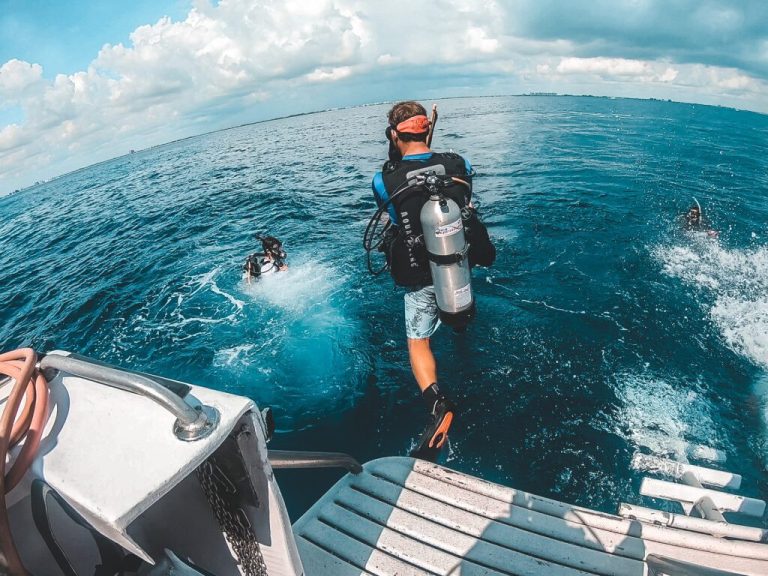 Tips to dive into the water - How to Jump into?