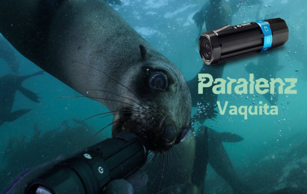 10 best underwater cameras for diving