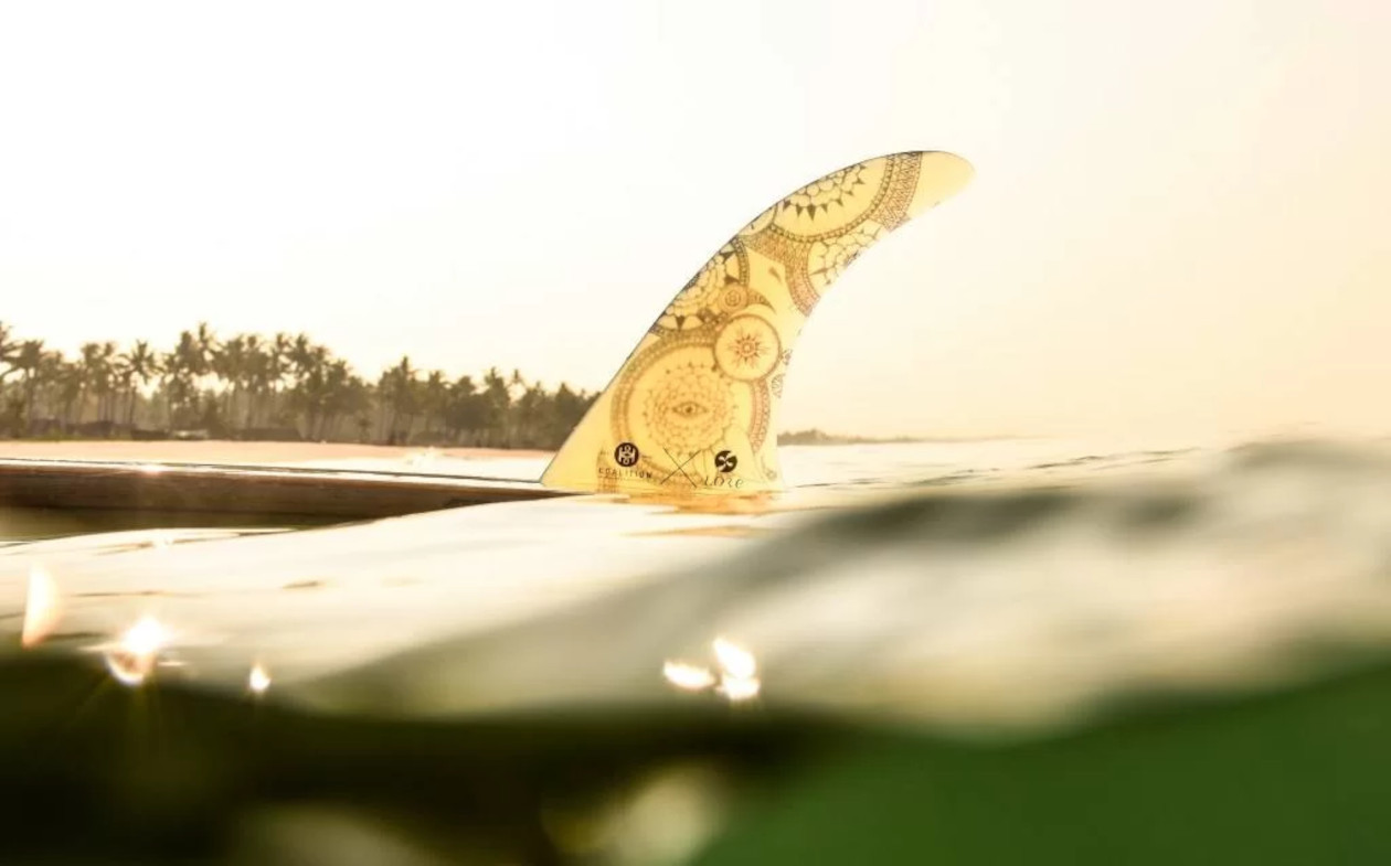 The Different Surfing Styles That Exist