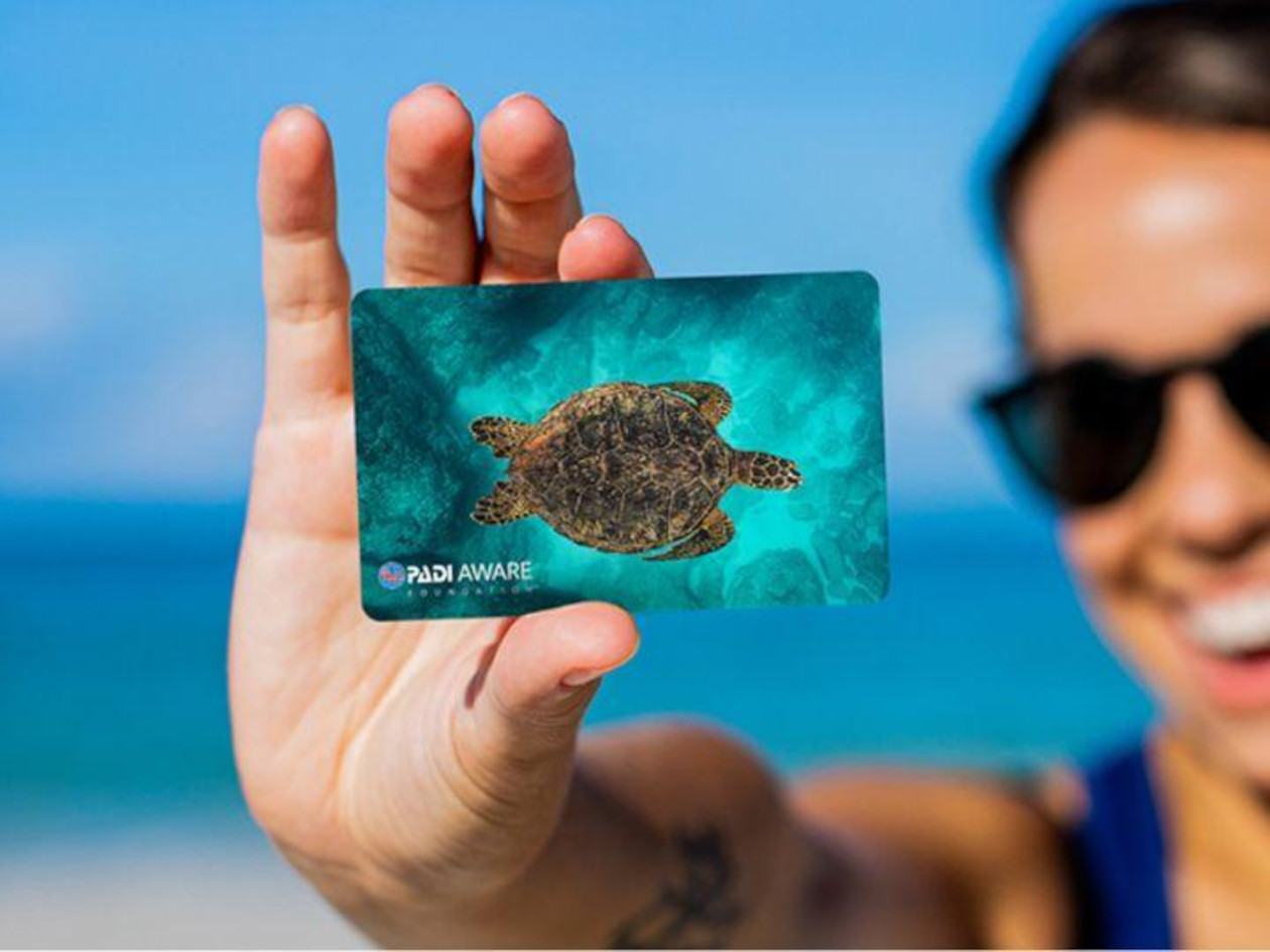 PADI eCard | How to get this amazing card