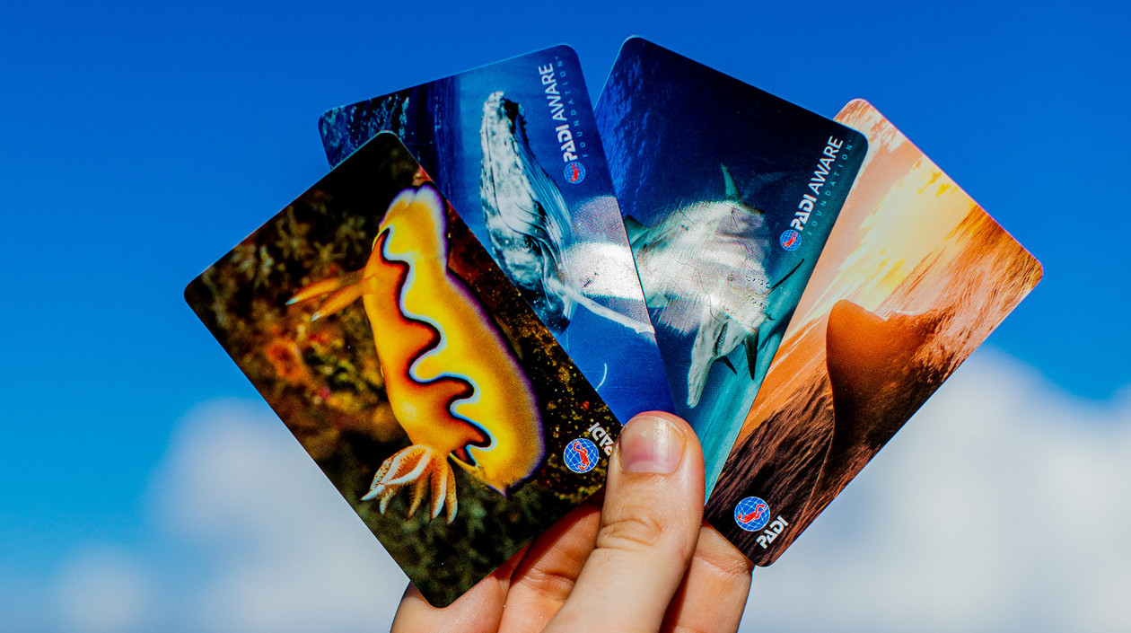 PADI eCard | How to get this amazing card
