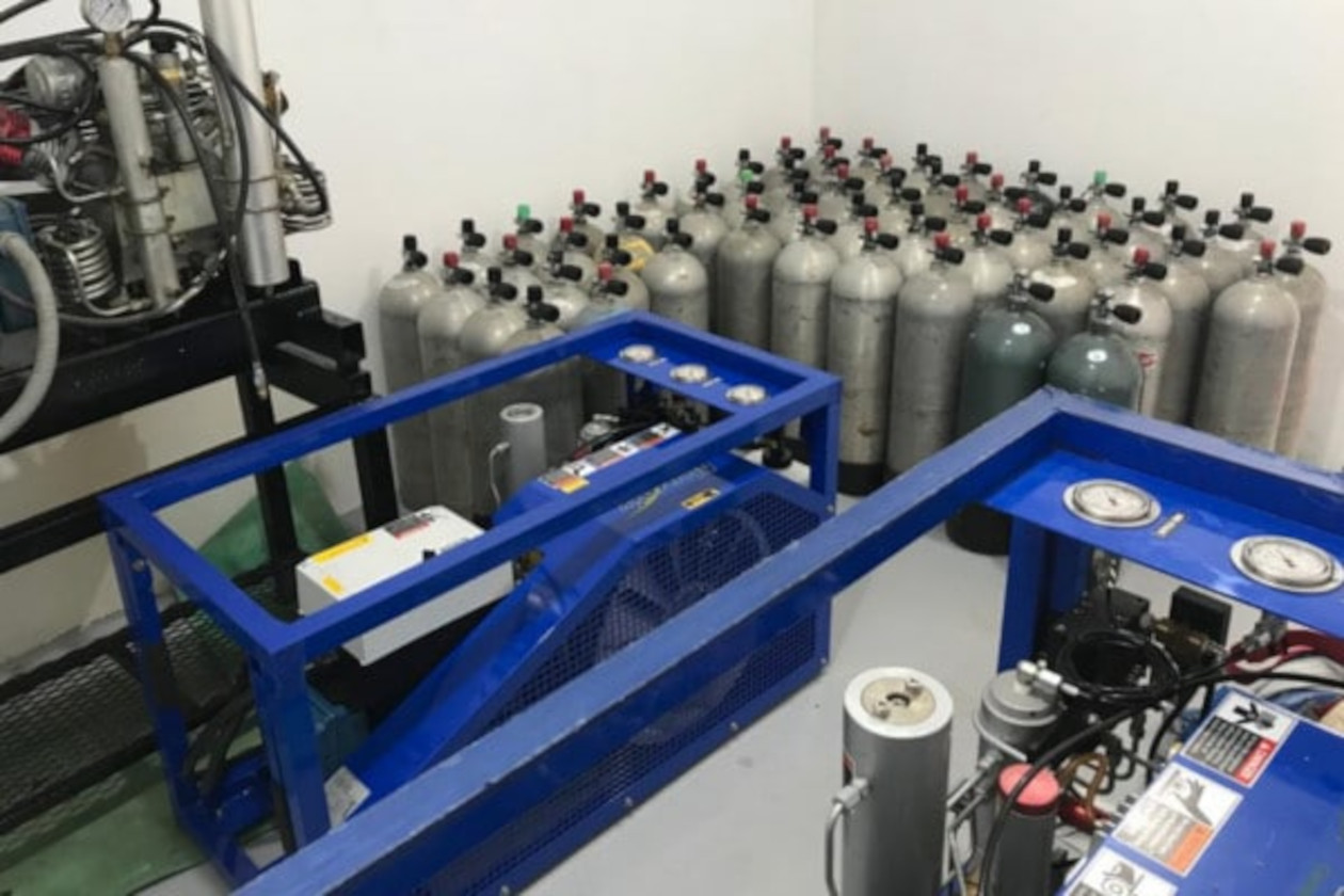 Cano Island Tour | Why book with us?