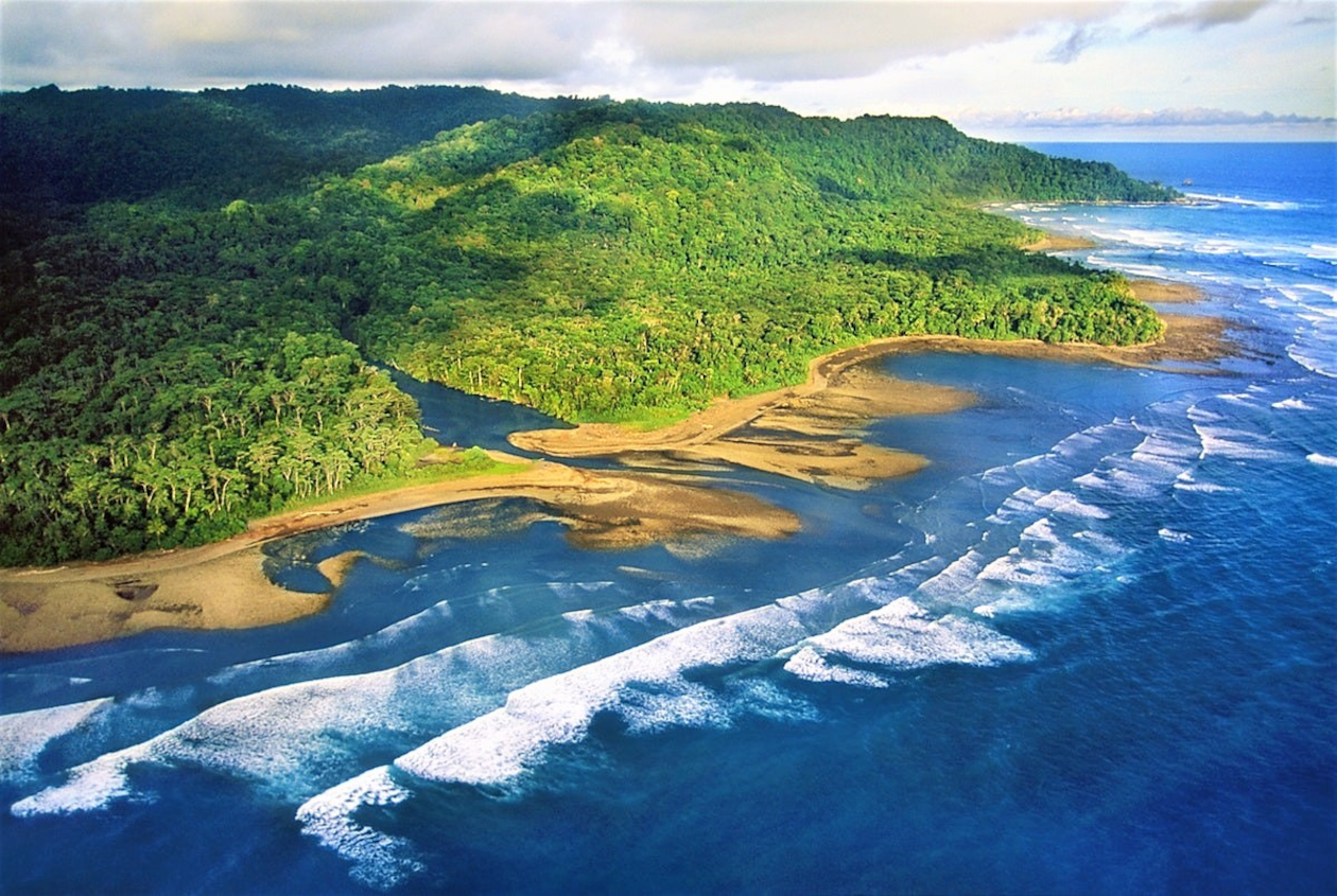 Visiting the OSA Peninsula in Costa Rica | A complete guide